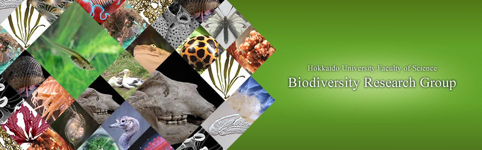 Department of Natural History Sciences Biodiversity Research Group ...